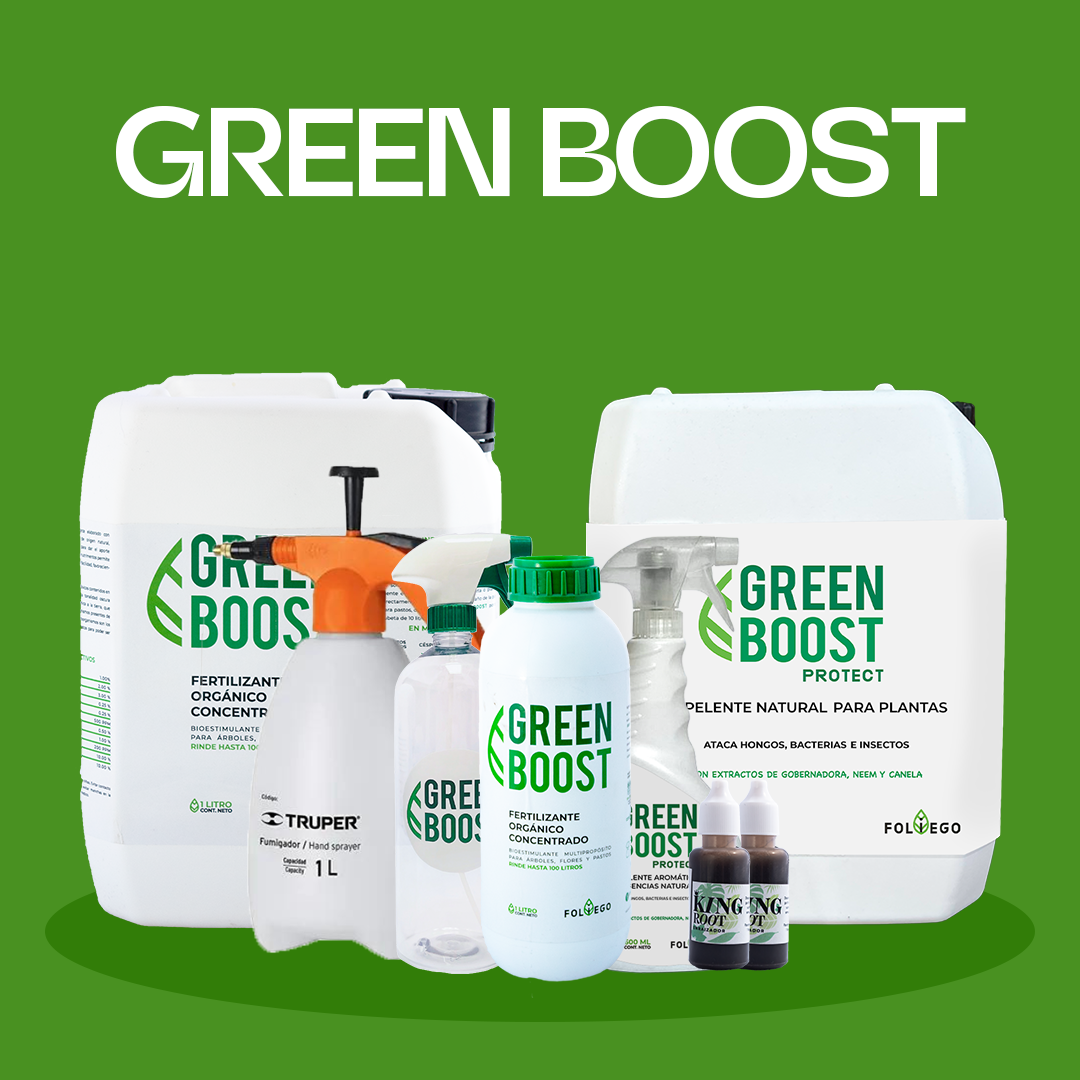 ESSENTIALS – GREEN BOOST
