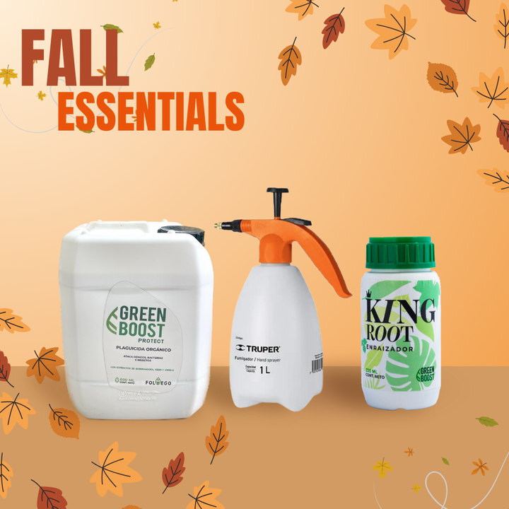 Green Boost Mx – GREEN BOOST