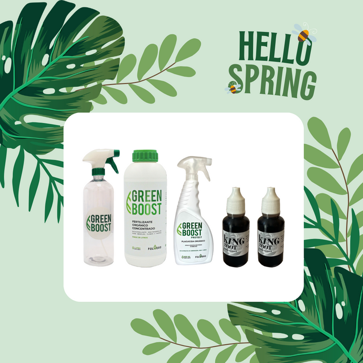 Green Boost Mx – GREEN BOOST