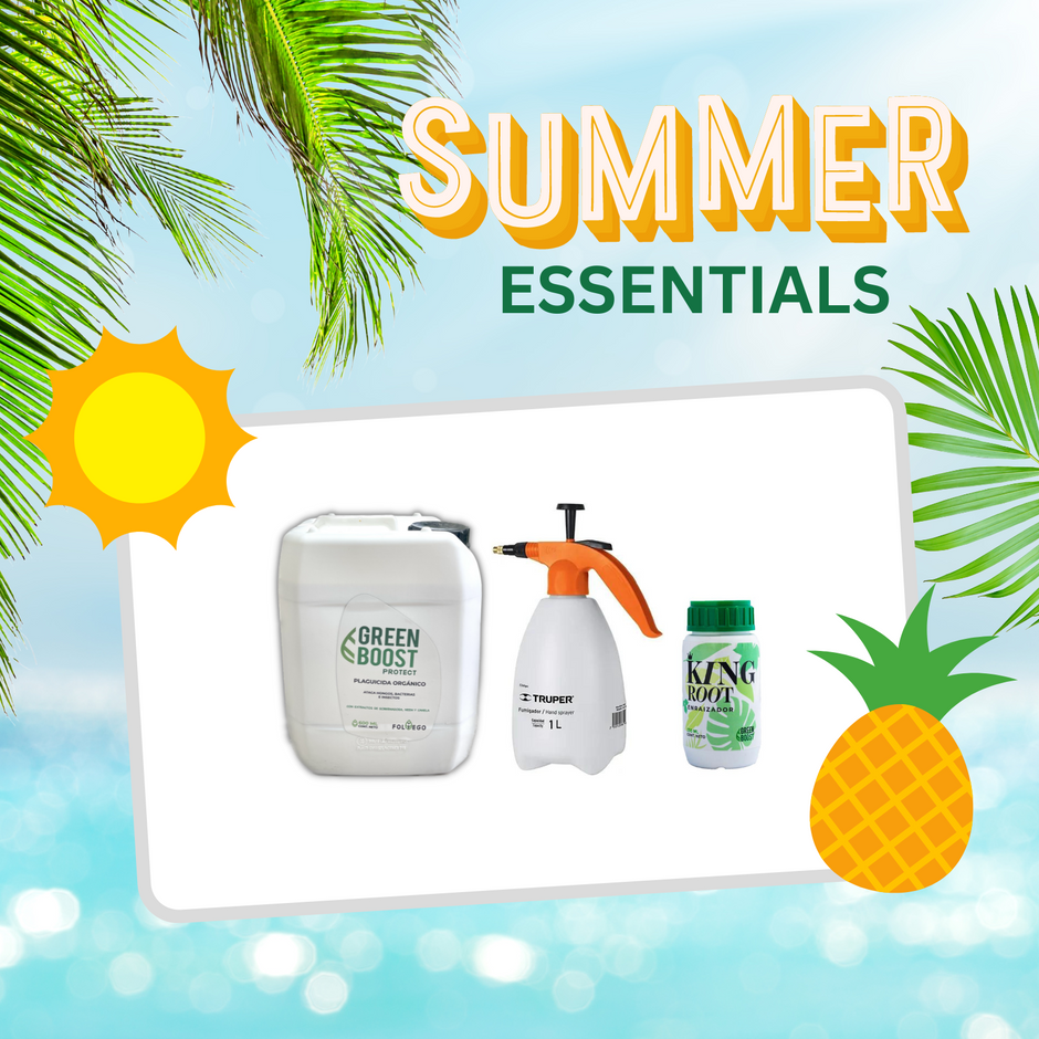 Green Boost Mx – GREEN BOOST