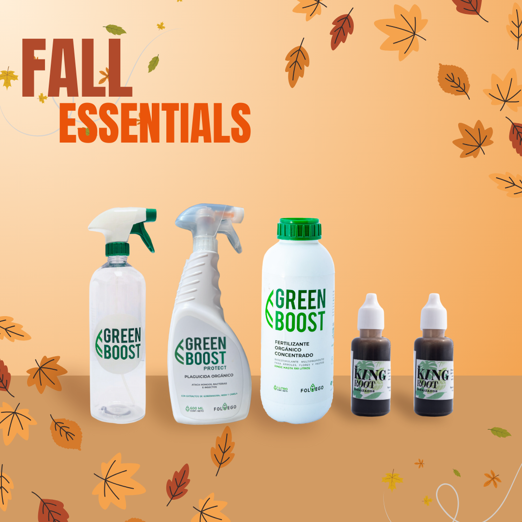 Green Boost Mx – GREEN BOOST