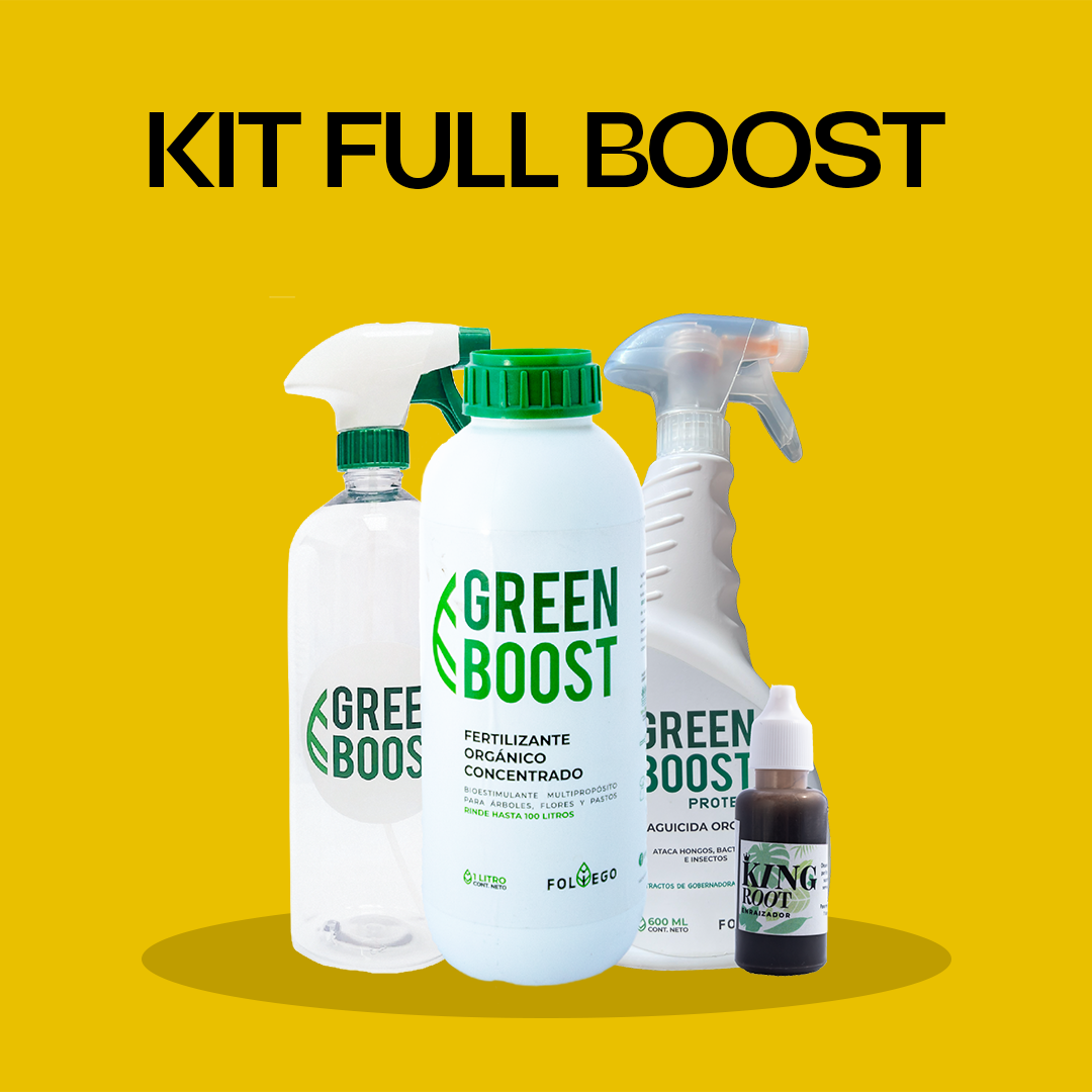 Green Boost Mx – GREEN BOOST