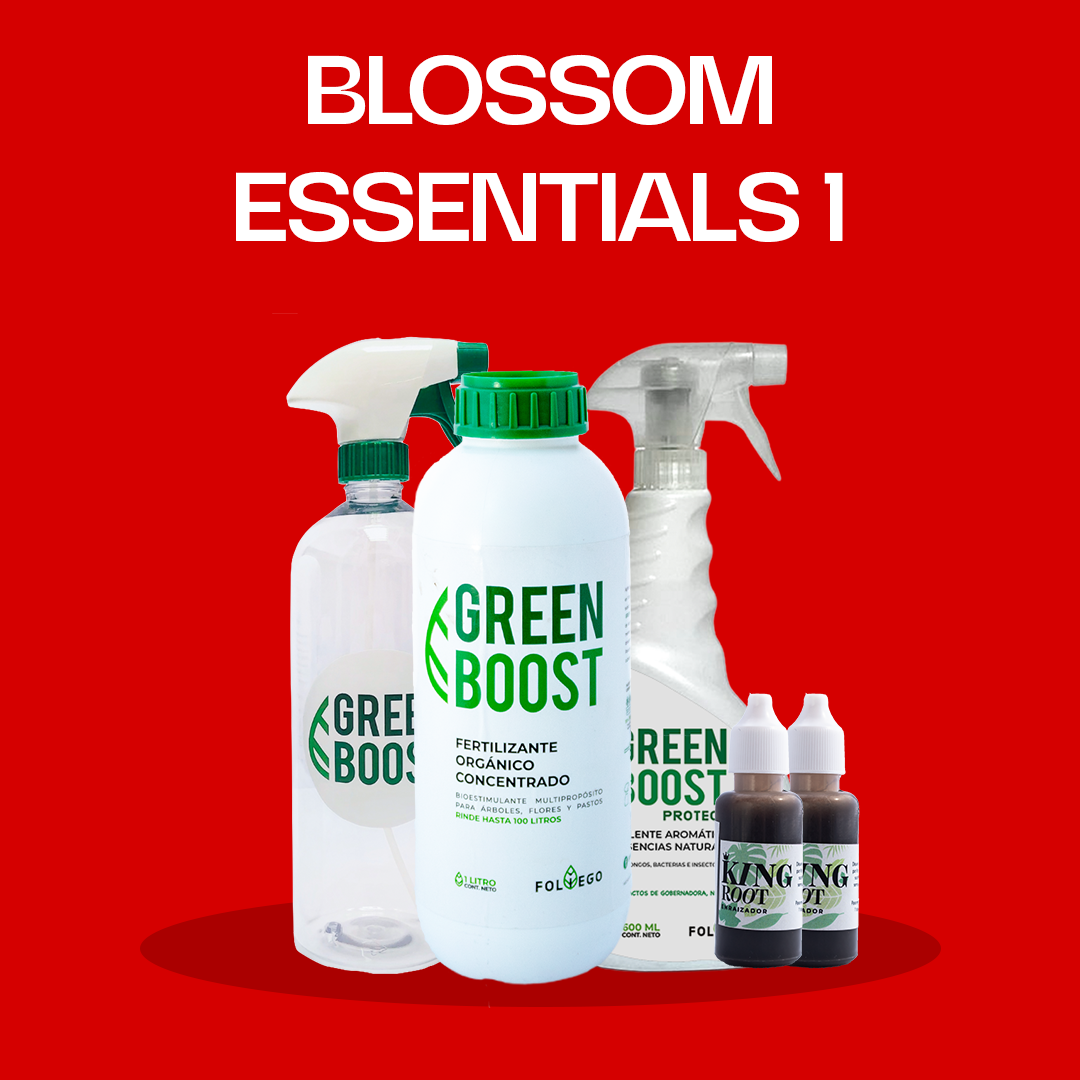 Green Boost Mx – GREEN BOOST