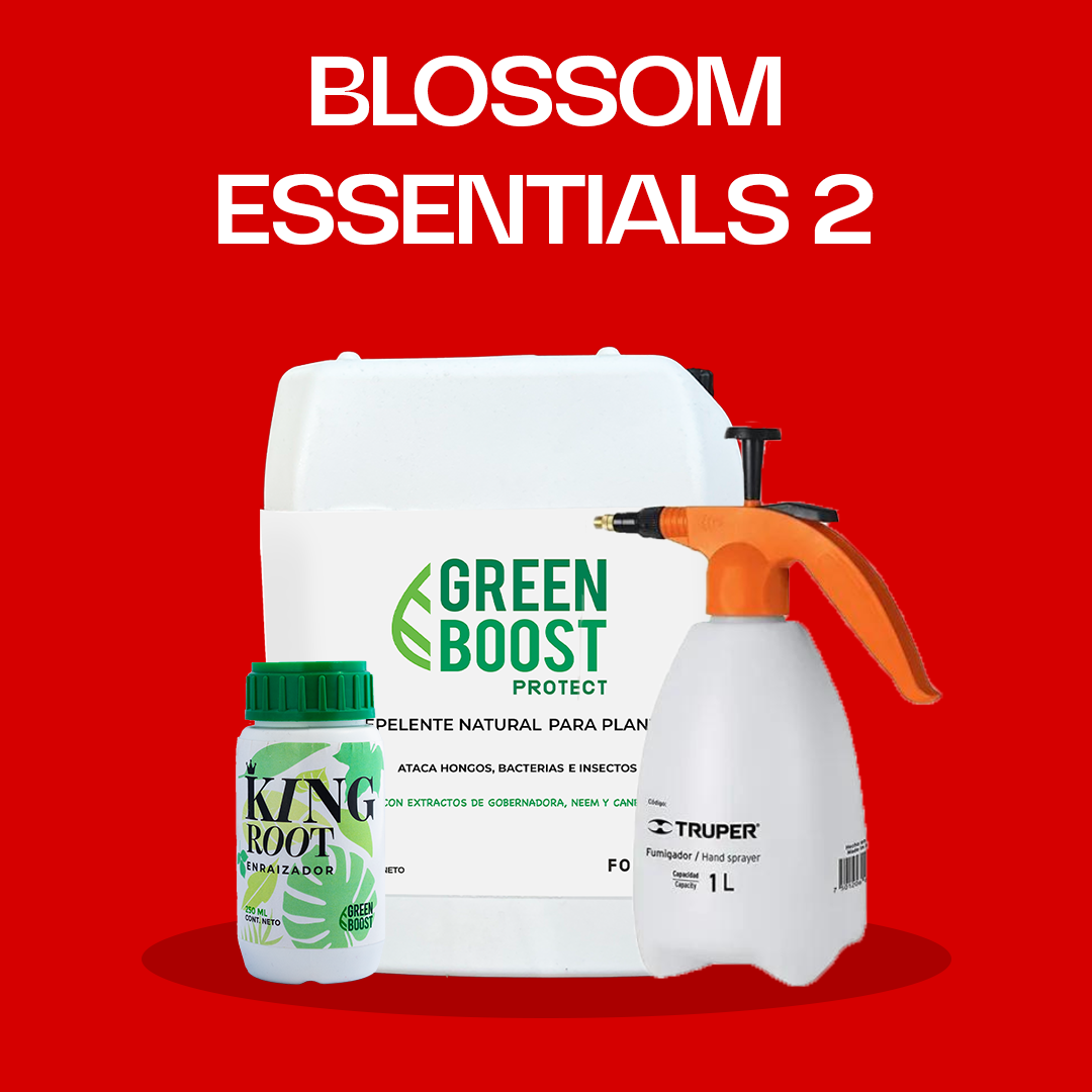 Green Boost Mx – GREEN BOOST