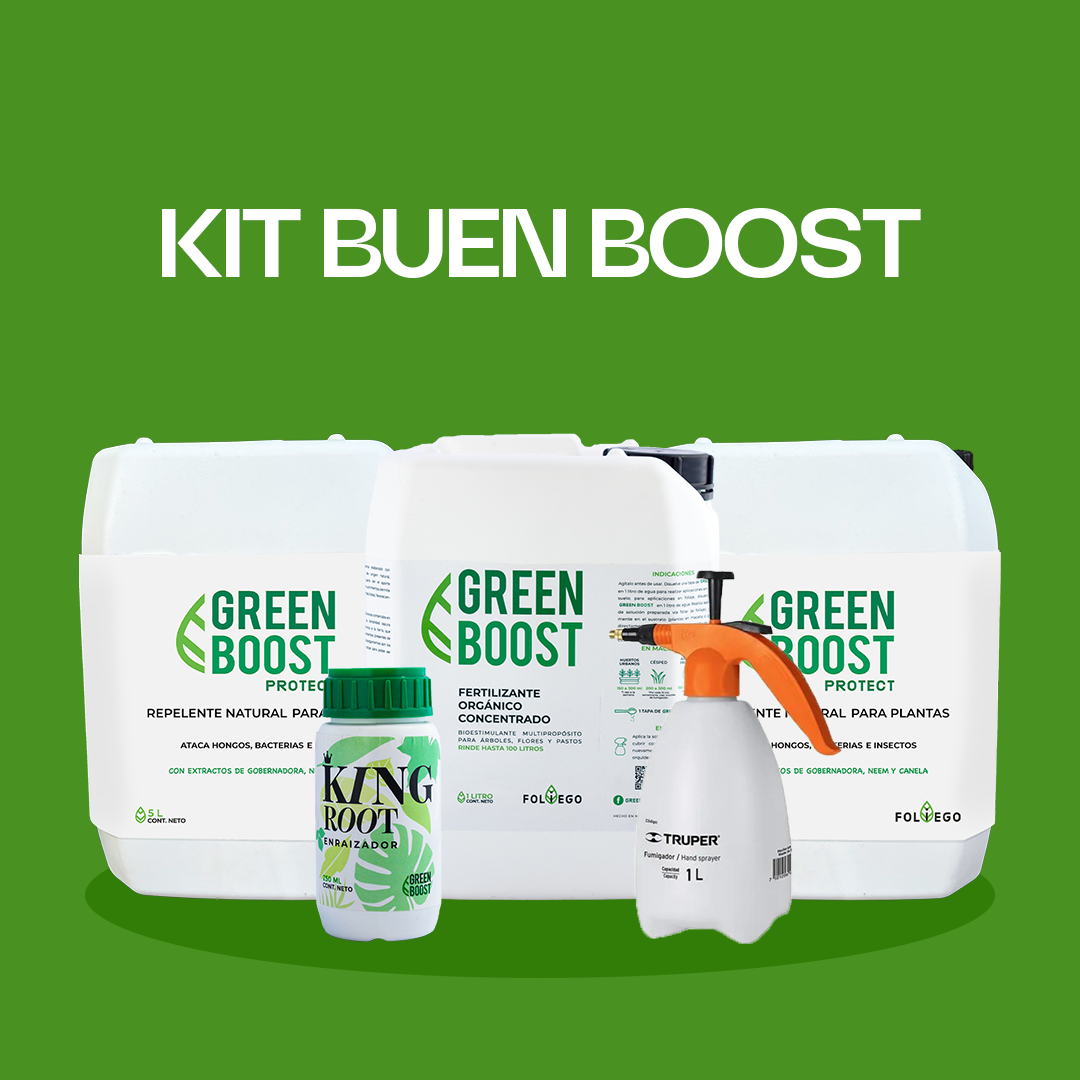 Kit Buen Boost – GREEN BOOST