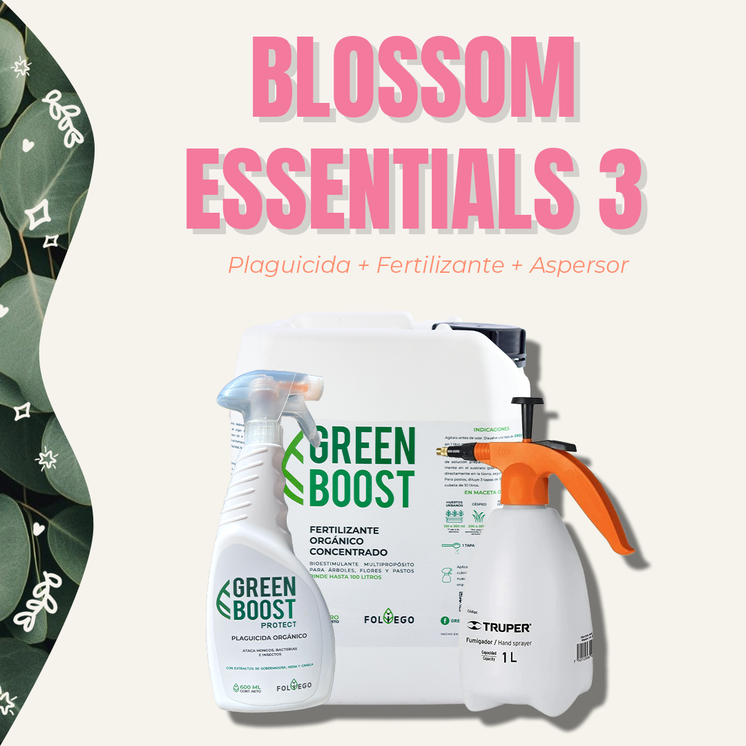 Green Boost Mx – GREEN BOOST