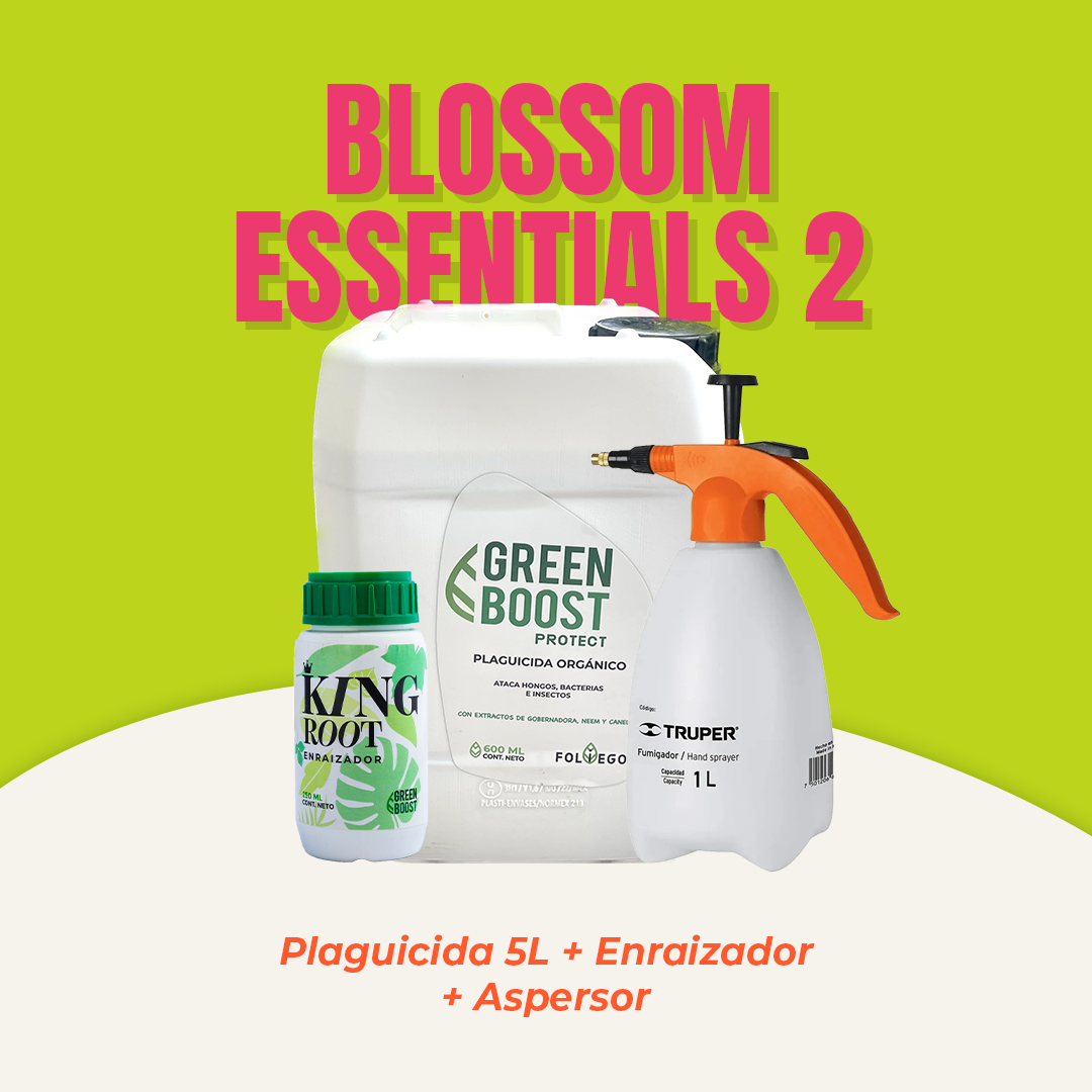 Green Boost Mx – GREEN BOOST