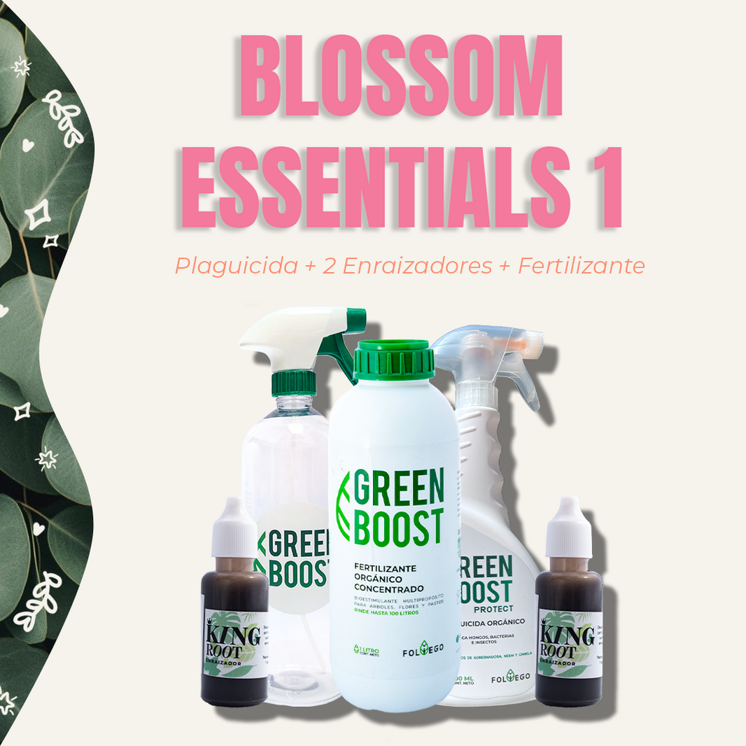 Green Boost Mx – GREEN BOOST