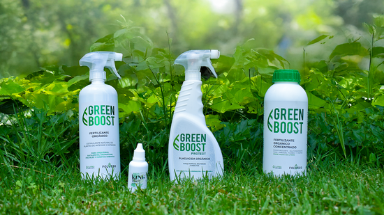 Green Boost Mx – GREEN BOOST