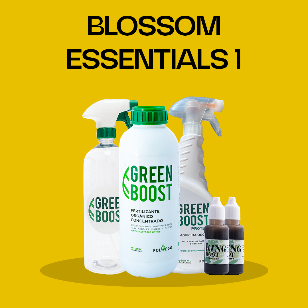 Green Boost Mx – GREEN BOOST