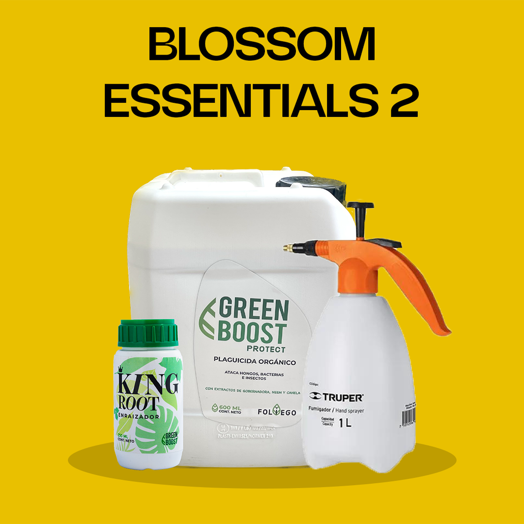 Green Boost Mx – GREEN BOOST