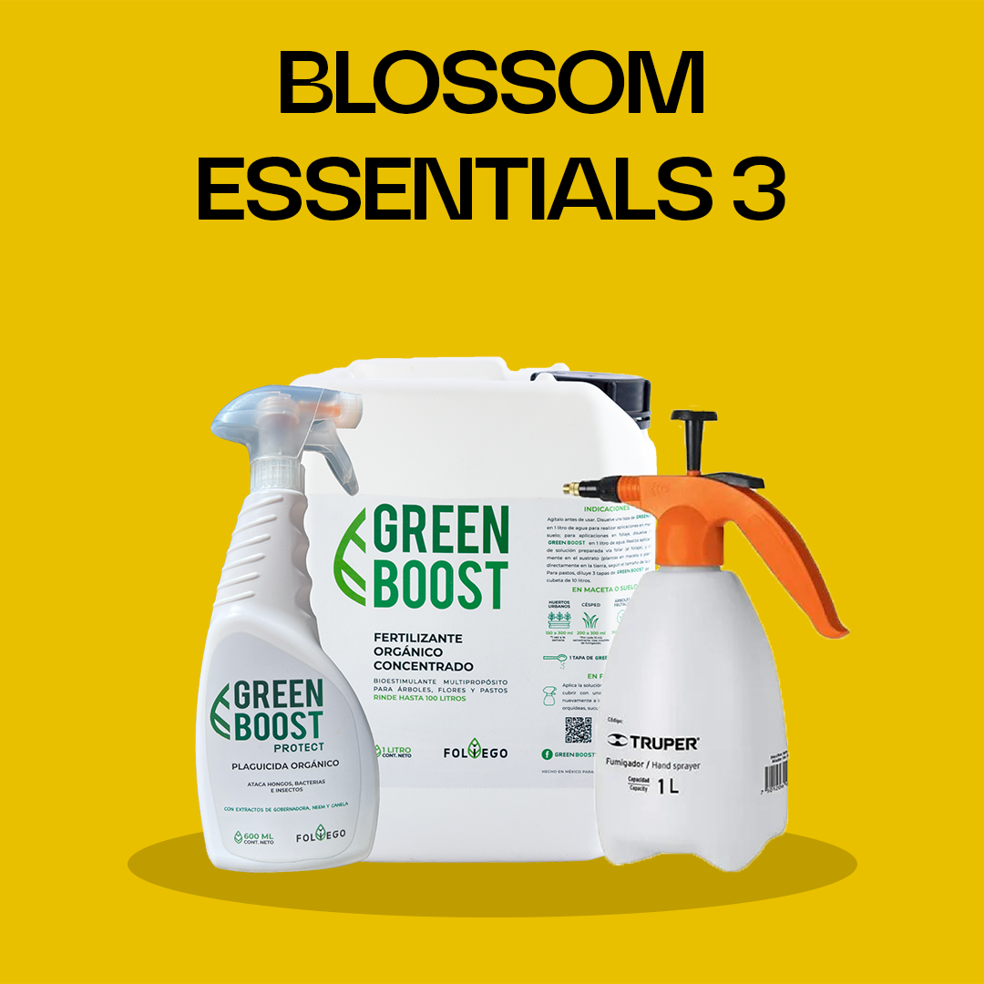Green Boost Mx – GREEN BOOST