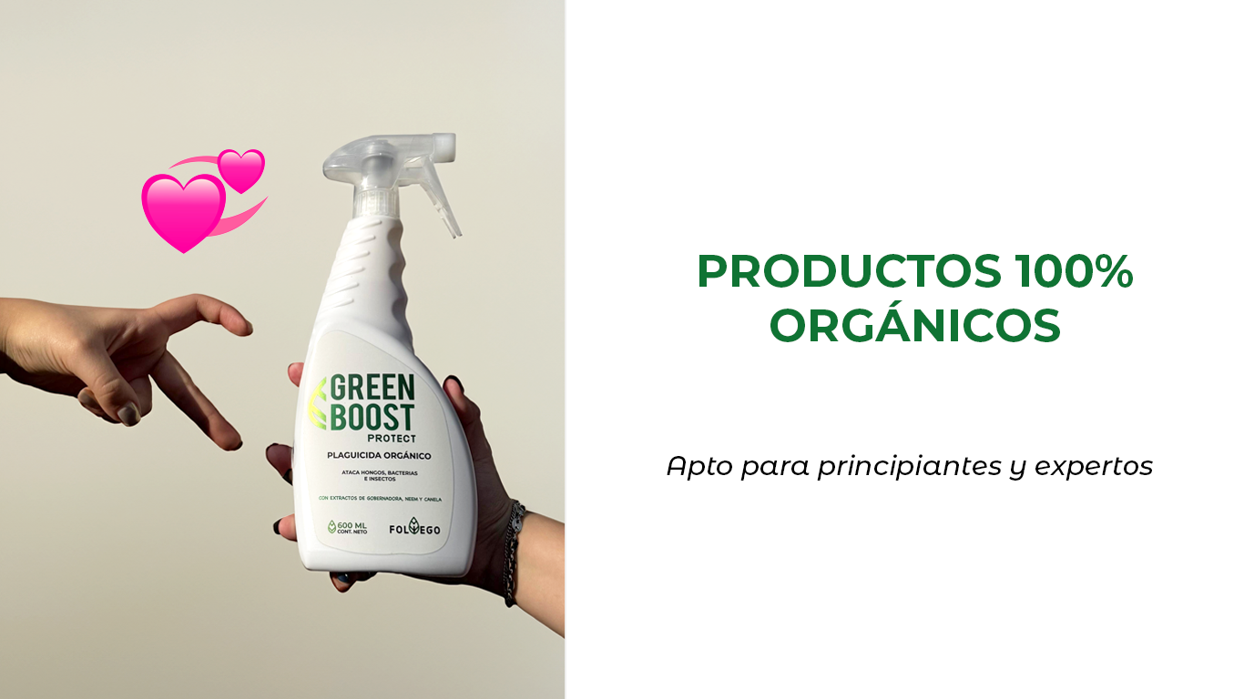 Green Boost Mx – GREEN BOOST